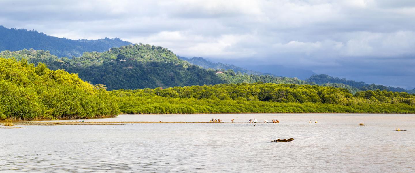 Nuestra Naturaleza: Humedal Nacional Térraba - Sierpe | Yabá Chiguí